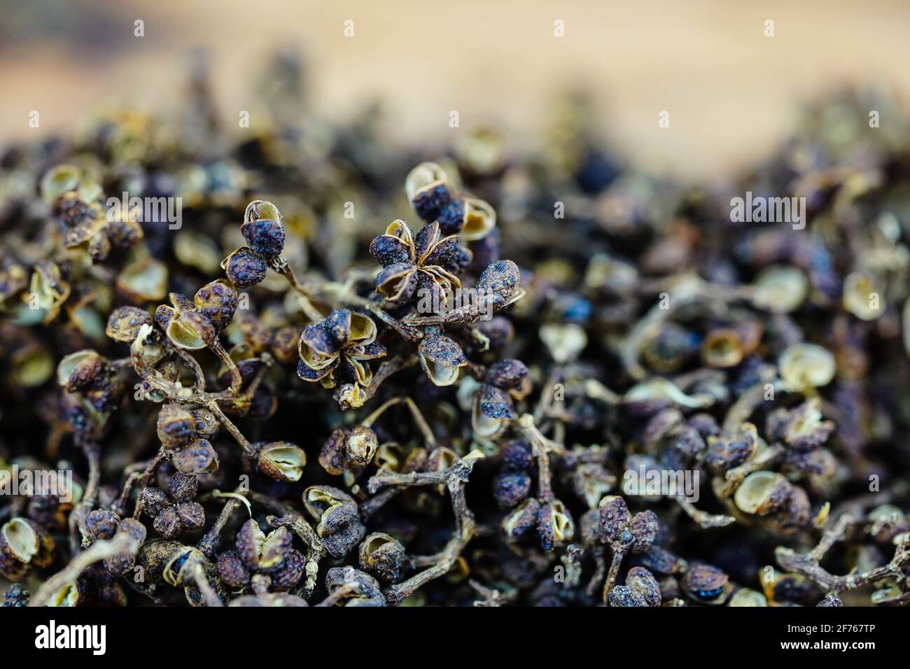 Andaliman pepper on olive wood Stock Photo - Alamy