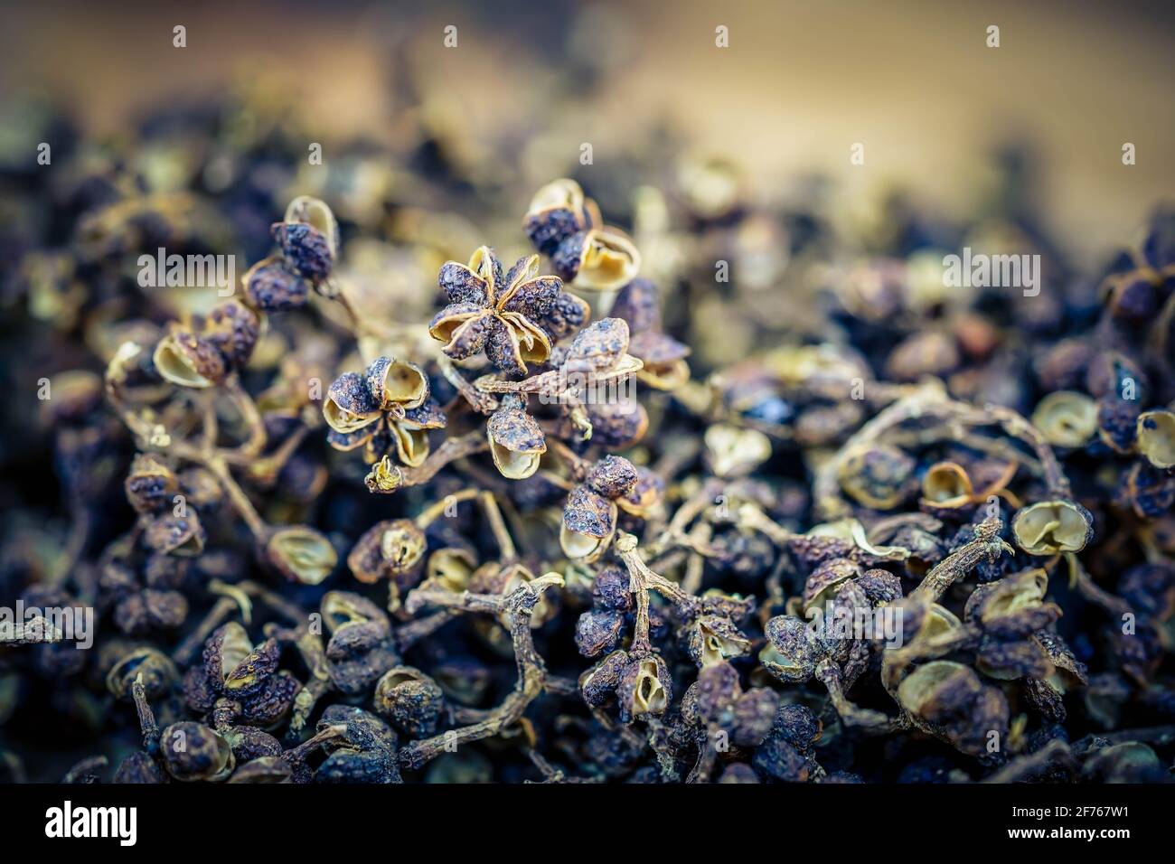 Andaliman hi-res stock photography and images - Alamy