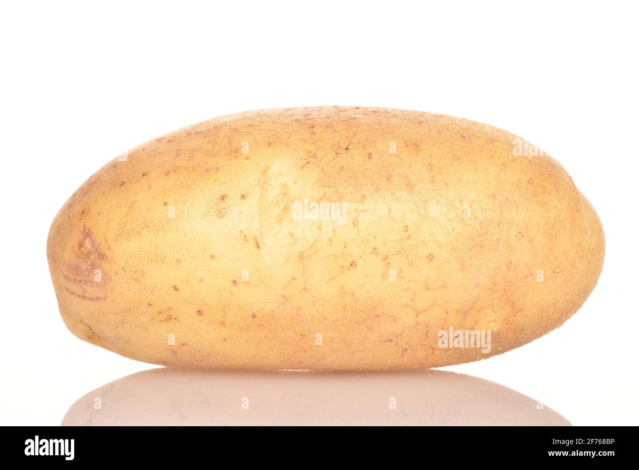One fresh, not peeled, uncooked, organic, juicy potato on a white ...