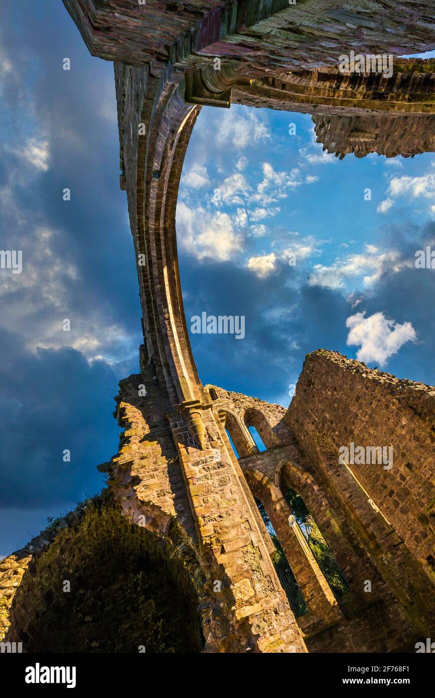 Greyabbey abbey hi-res stock photography and images - Alamy