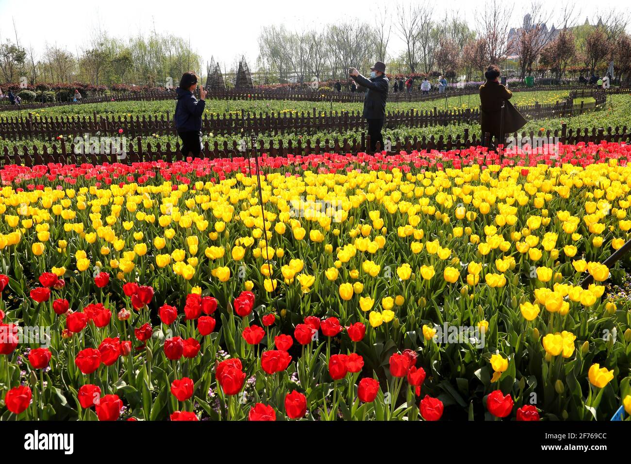 YANCHENG, CHINA - APRIL 5, 2021 - Photo taken on April 5, 2021 shows ...