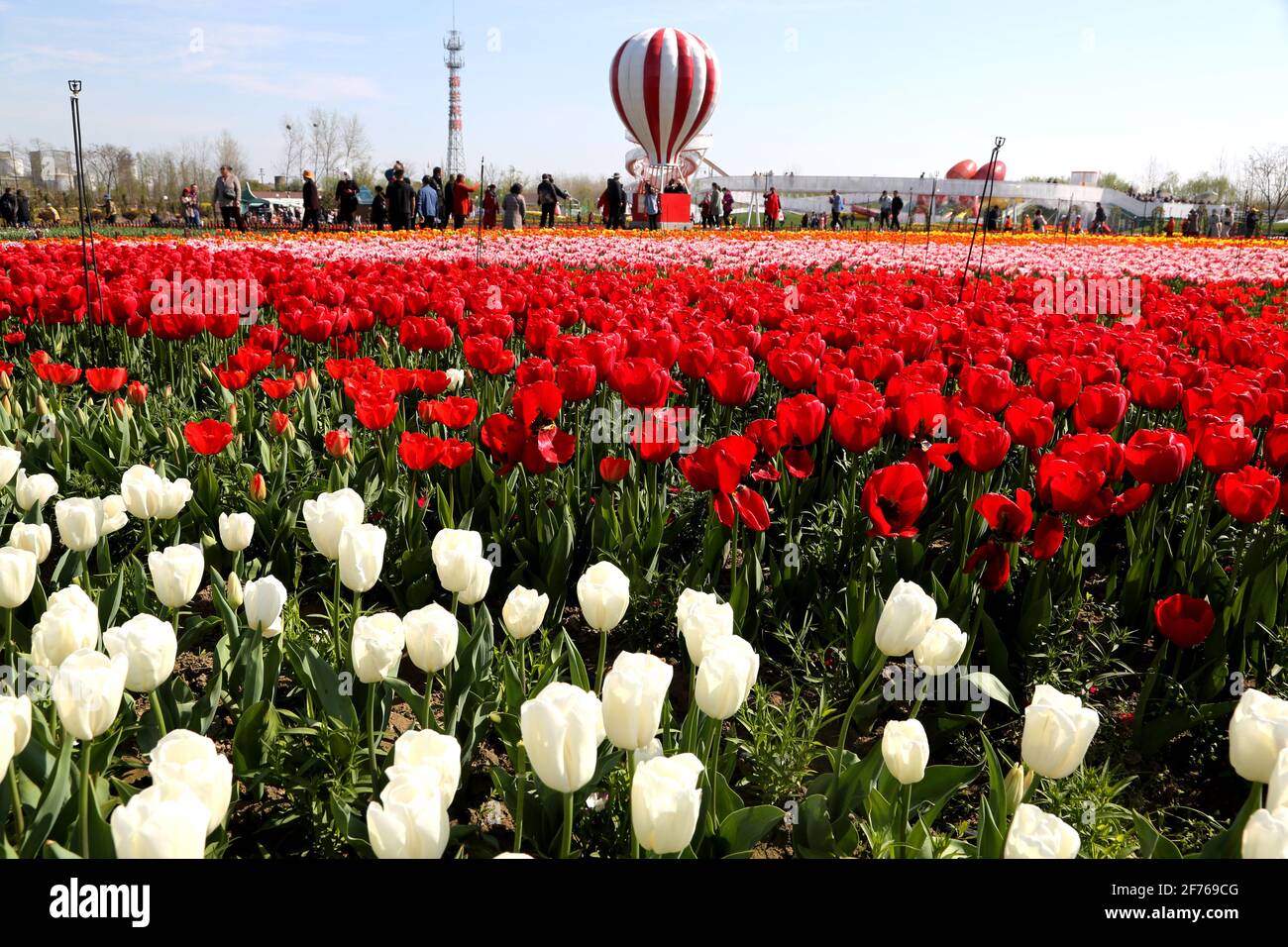 YANCHENG, CHINA - APRIL 5, 2021 - Photo taken on April 5, 2021 shows ...