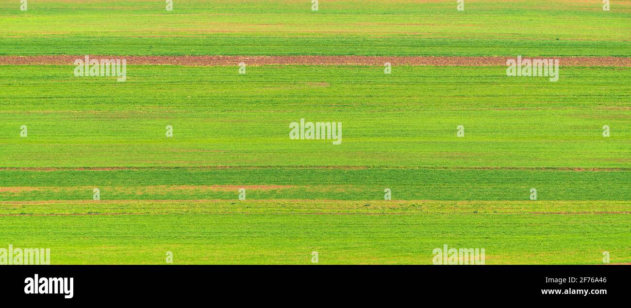Agricultural farm fields wide panorama hi-res stock photography and ...
