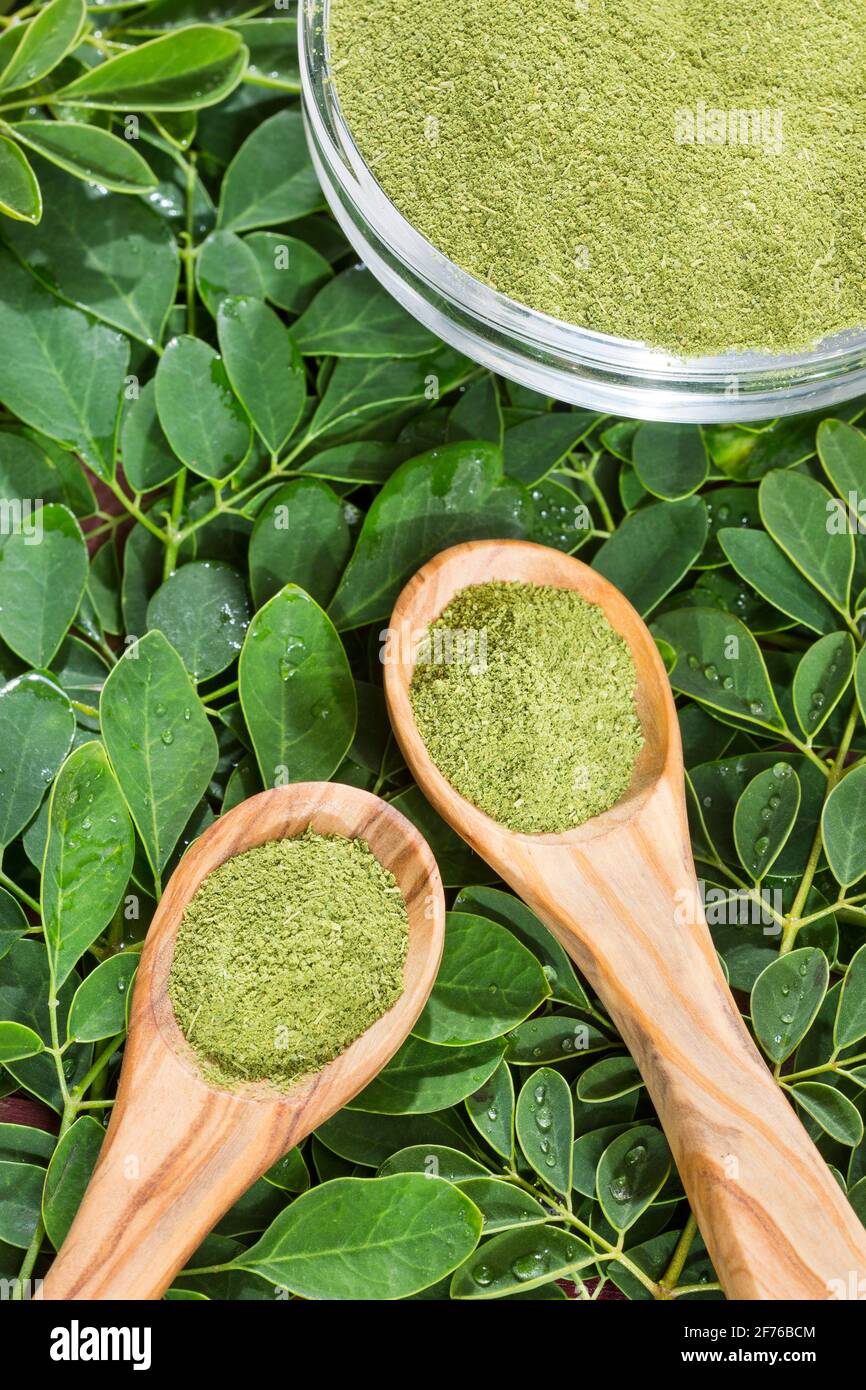 Fresh leaves and moringa powder - Moringa oleifera. Top view Stock ...