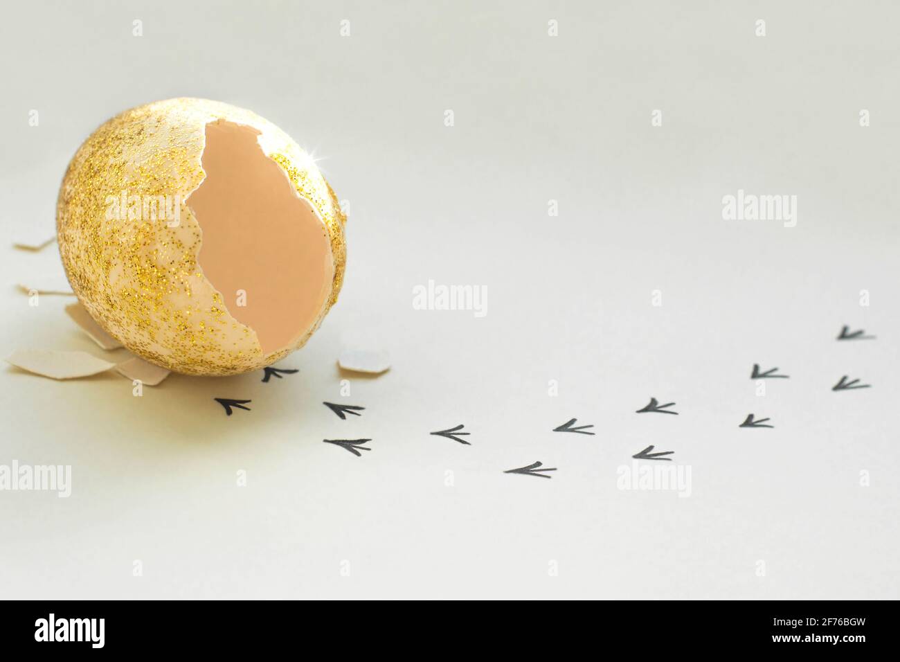 Footprints from an egg shell. First steps of a chick on a white ...