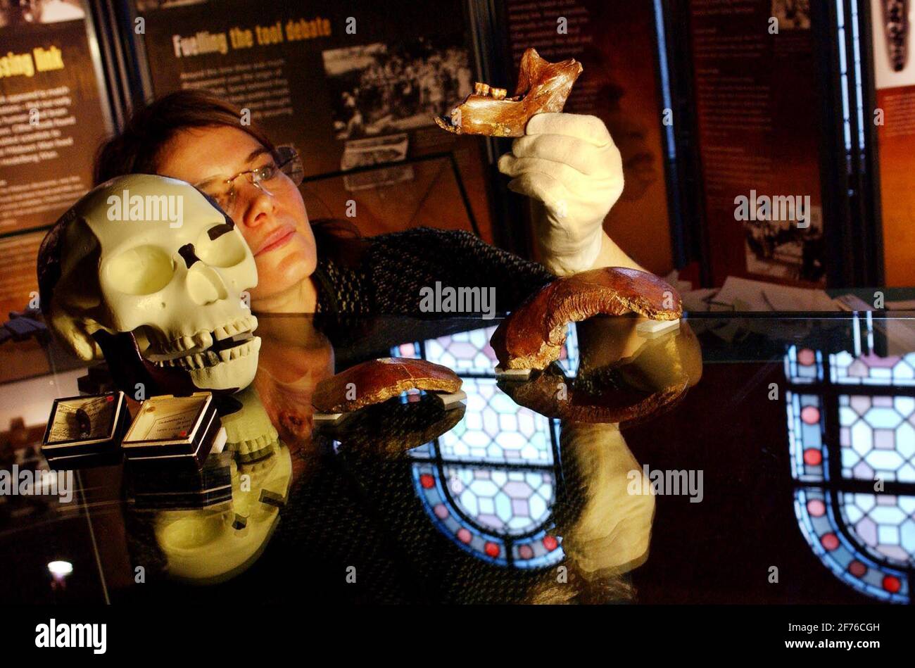 Piltdown man hi-res stock photography and images - Alamy