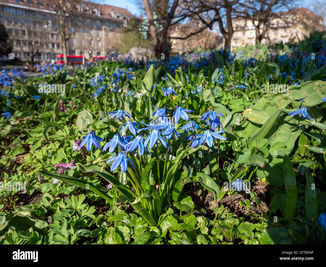 Park in the City of Bern during spring Stock Photo - Alamy