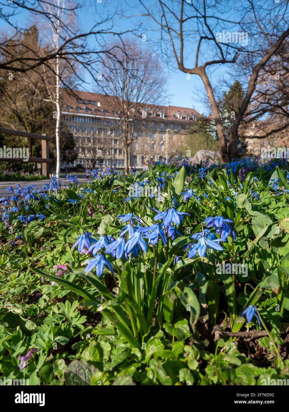 Park in the City of Bern during spring Stock Photo - Alamy
