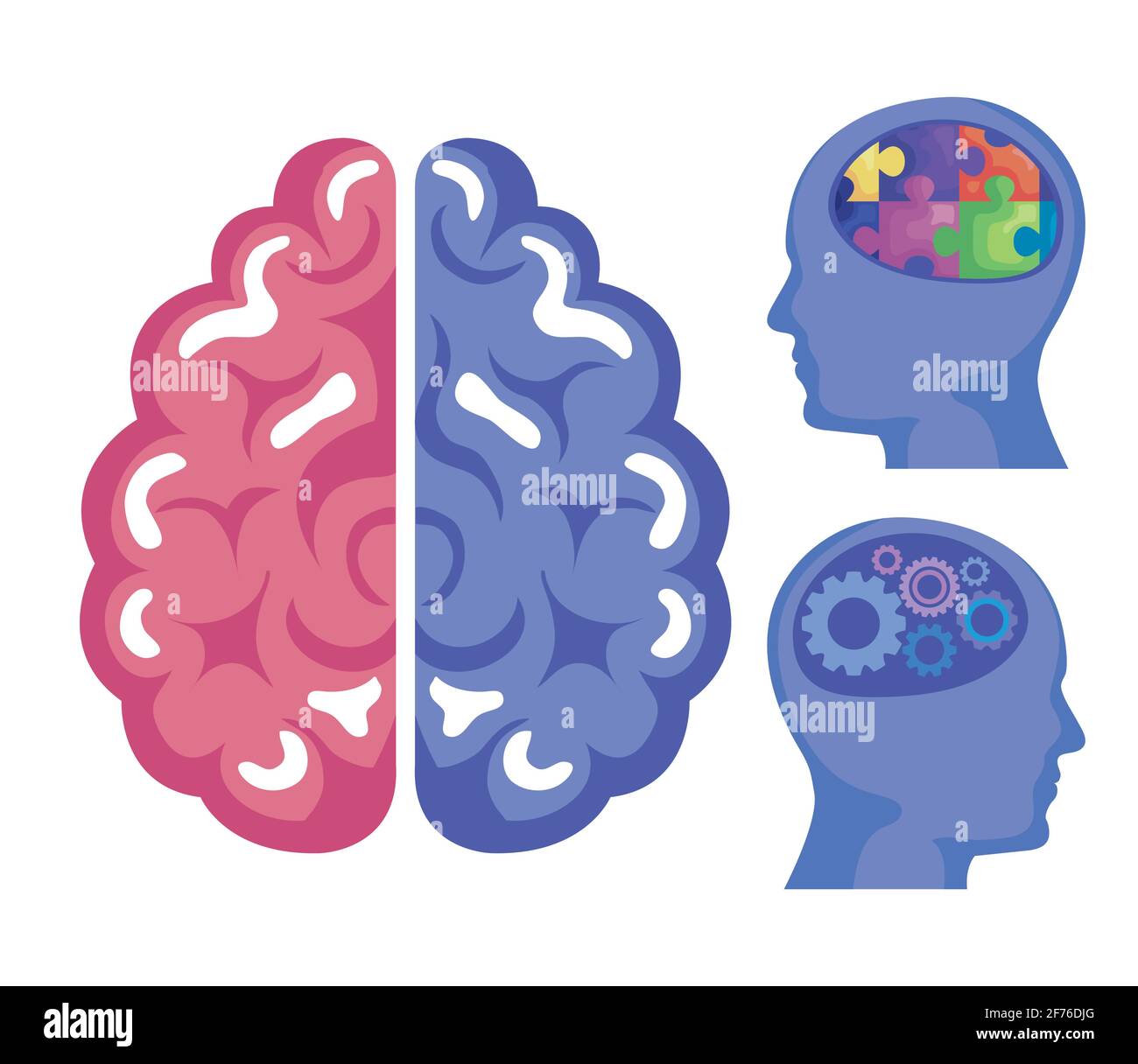 Humans brains hi-res stock photography and images - Alamy