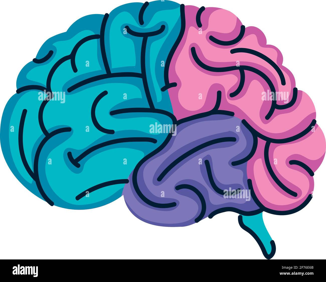 brain organ colors Stock Vector Image & Art - Alamy