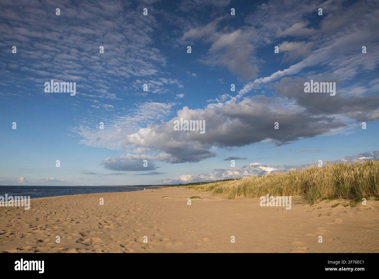 Baltic sea, landscape, seagulls, shore,, beach, sea Stock Photo - Alamy
