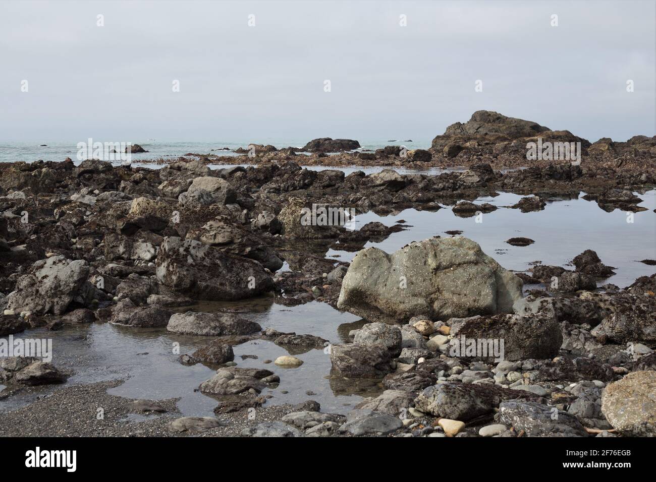Rock formations revealed at low tide at McVay Rock State Recreation ...