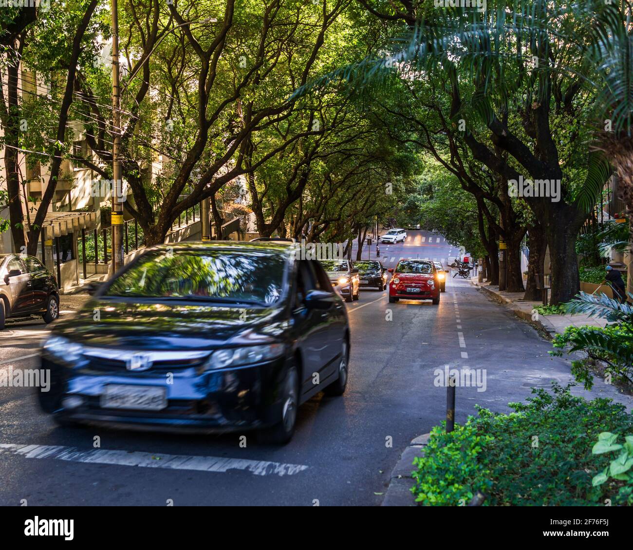Residential street cars trees hi-res stock photography and images - Alamy