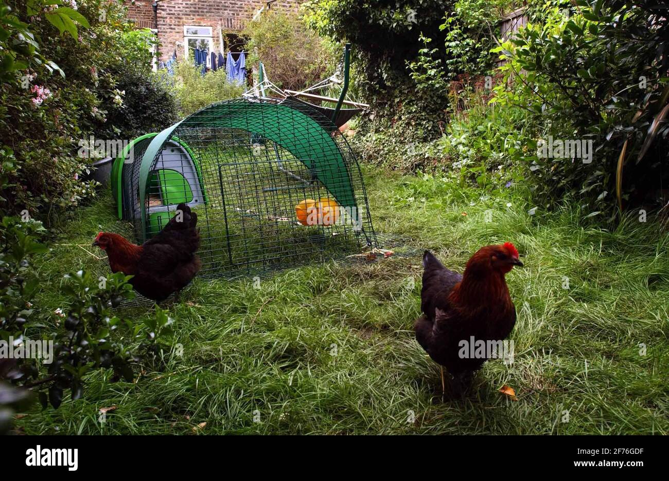 Deborah ross hi-res stock photography and images - Alamy