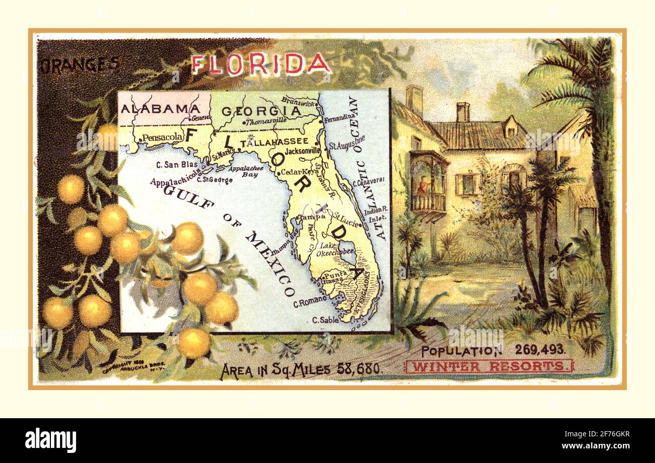 Vintage FLORIDA USA 1840's Vacation Retro Holiday Postcard Florida. USA ...