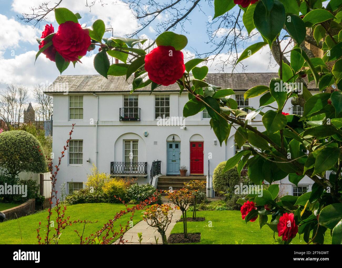 Terraced cottages in Hampstead with beautiful front gardens, manicured ...