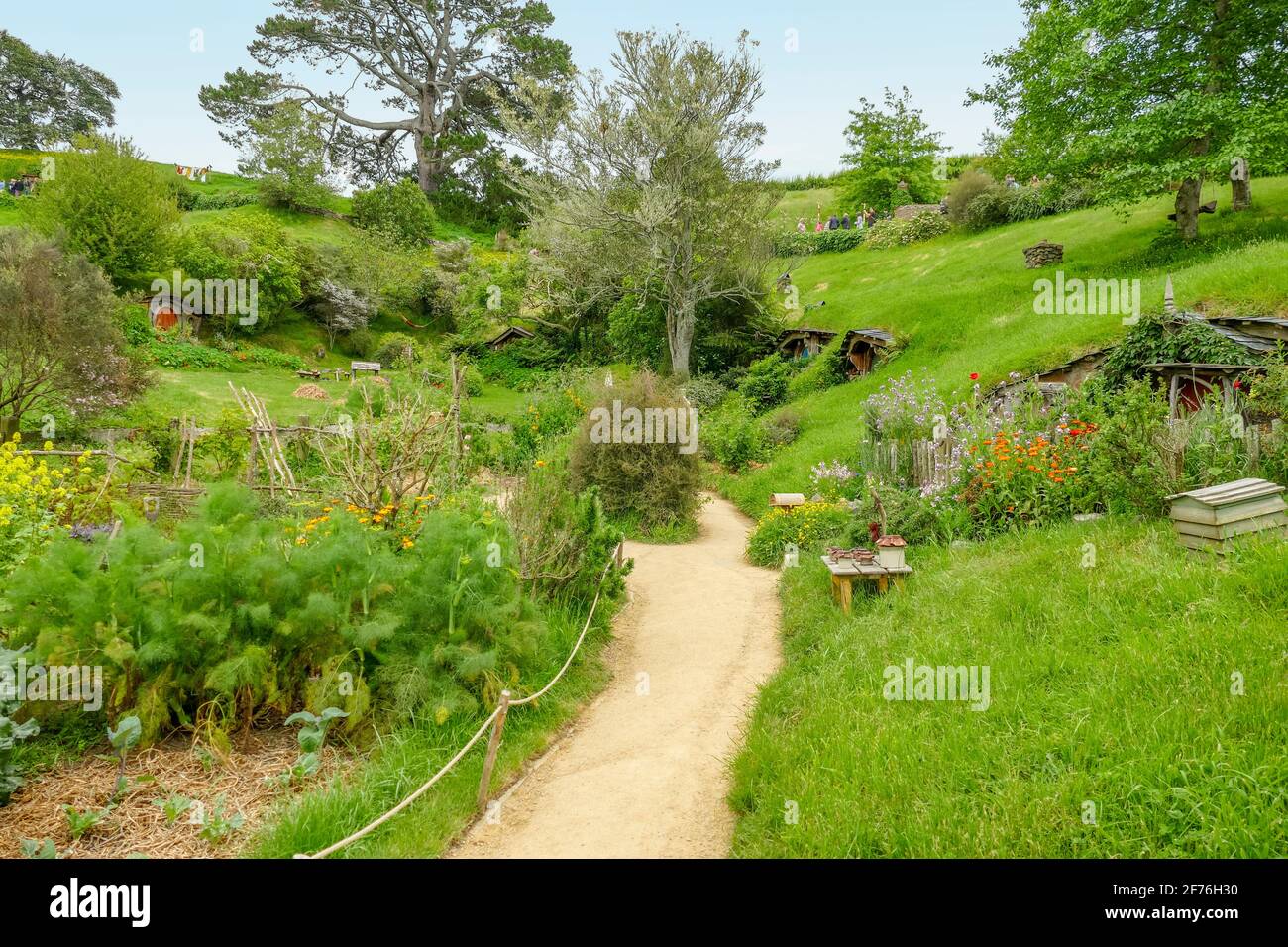 Idyllic scenery at The Shire represented by a region near Matama at the ...