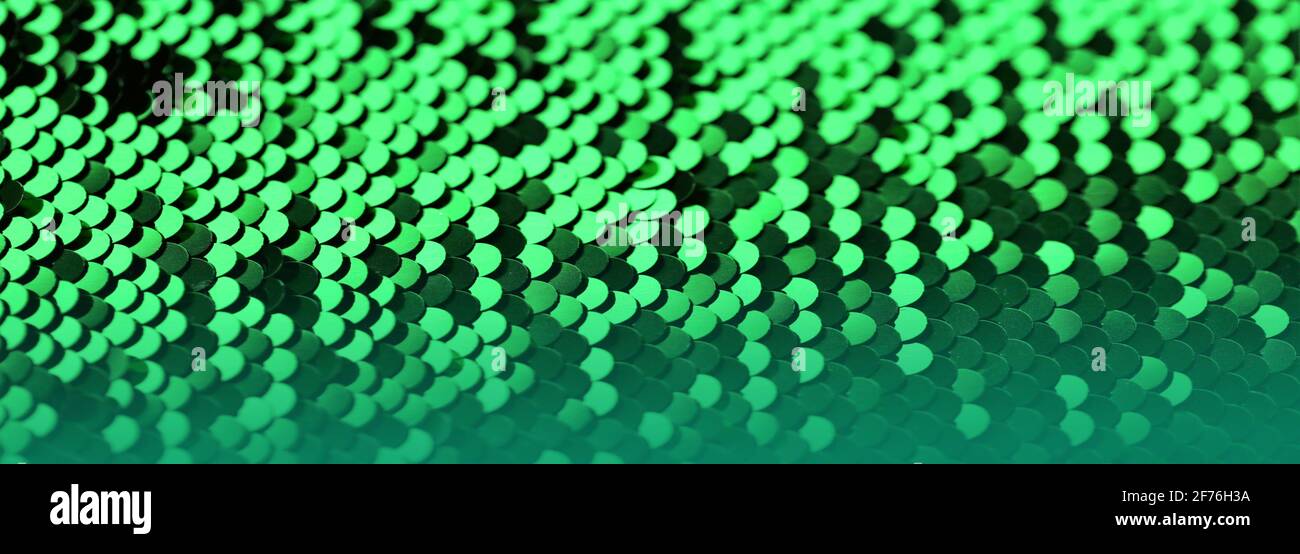 Sequins green shiny background.sequin pattern.Texture scales with ...