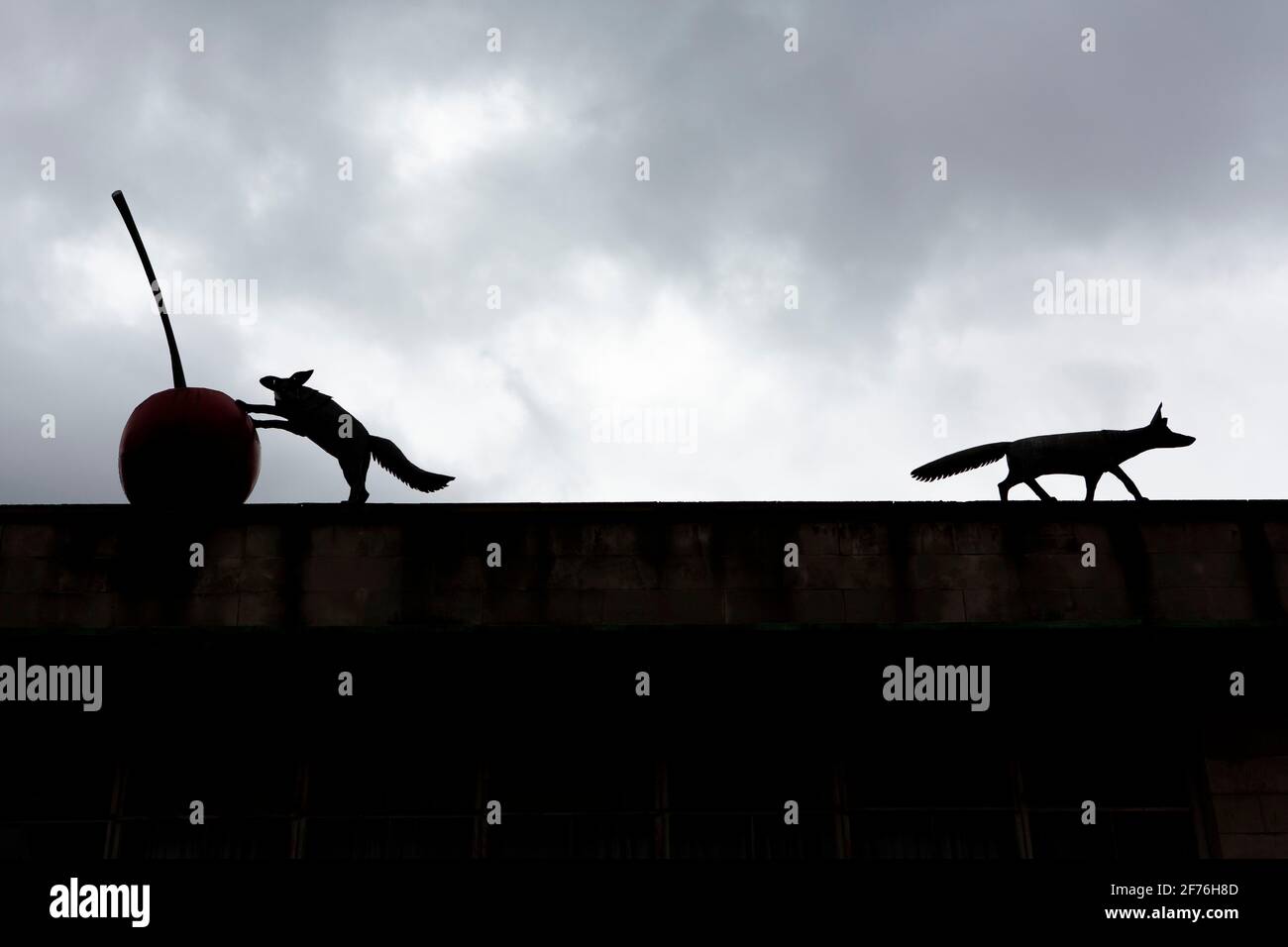 Iron fox hi-res stock photography and images - Alamy