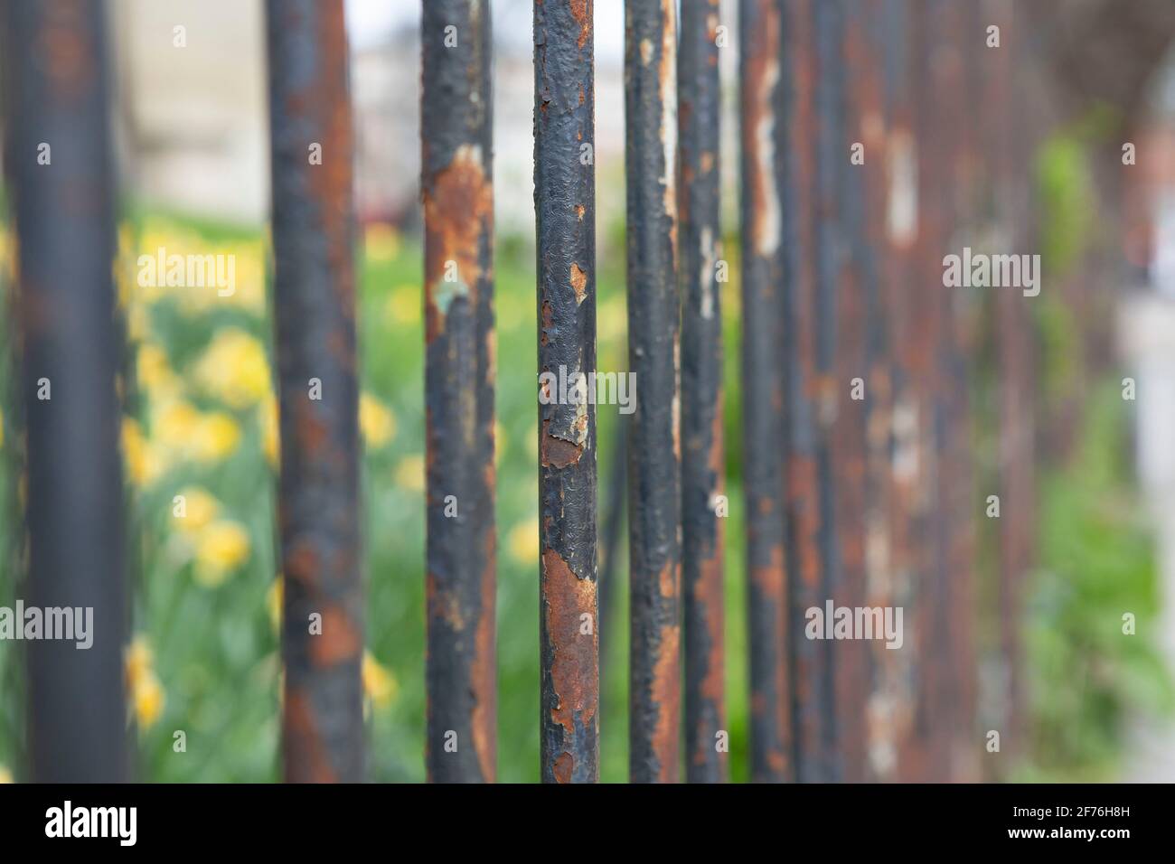 Boundary wall railings hi-res stock photography and images - Alamy