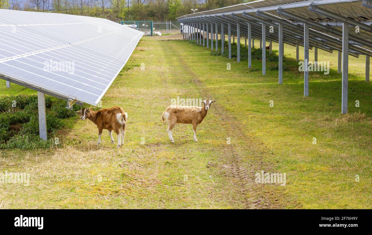 Solar park system hi-res stock photography and images - Alamy