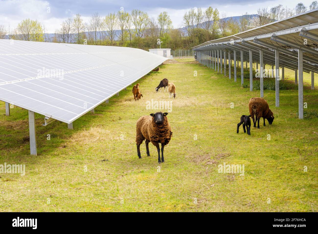 The solar system in a line hi-res stock photography and images - Alamy
