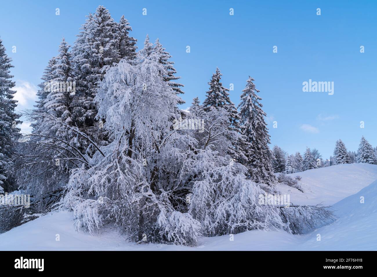 Freezing subzero nature hi-res stock photography and images - Alamy