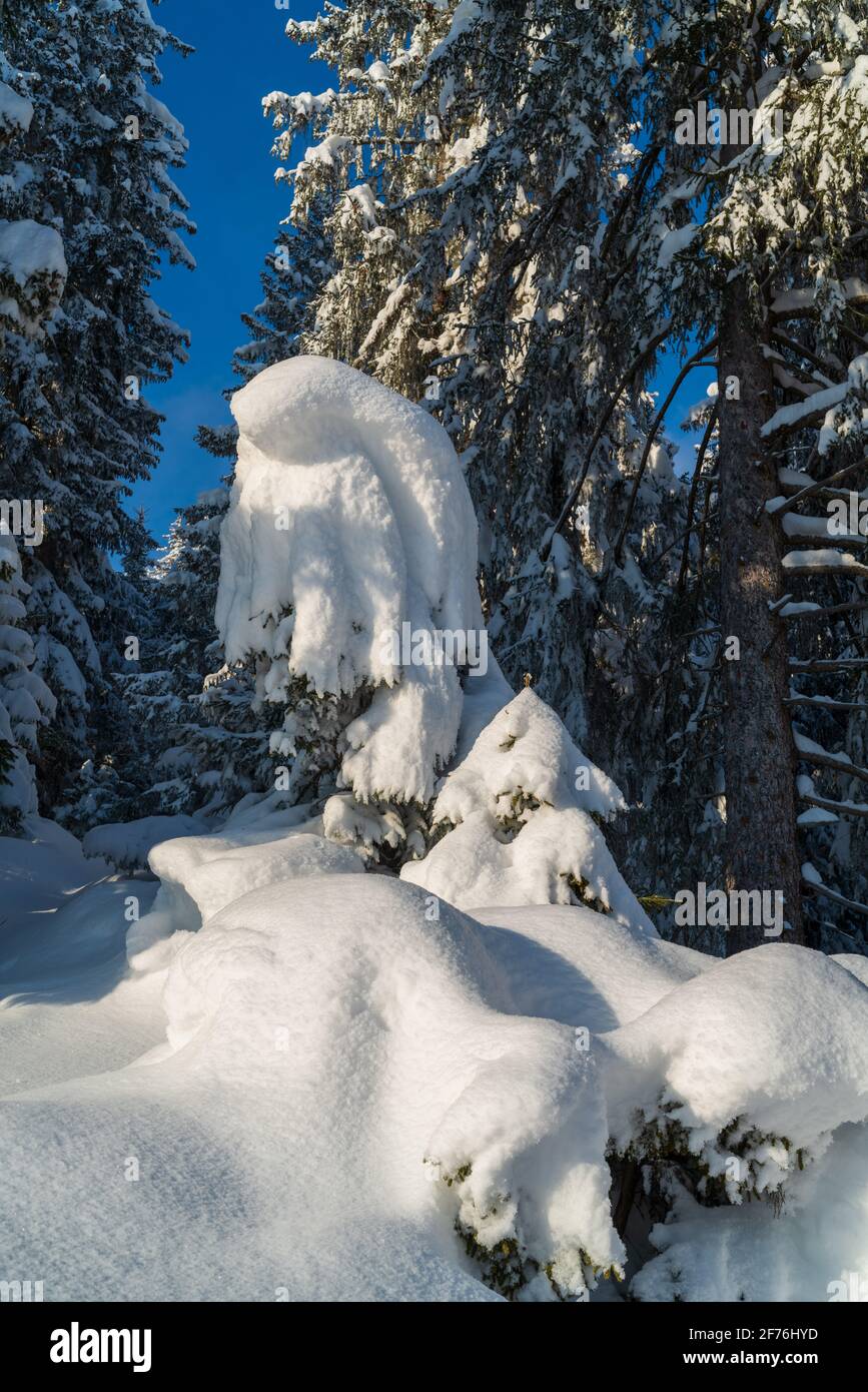 Sculpture in the winter hi-res stock photography and images - Alamy