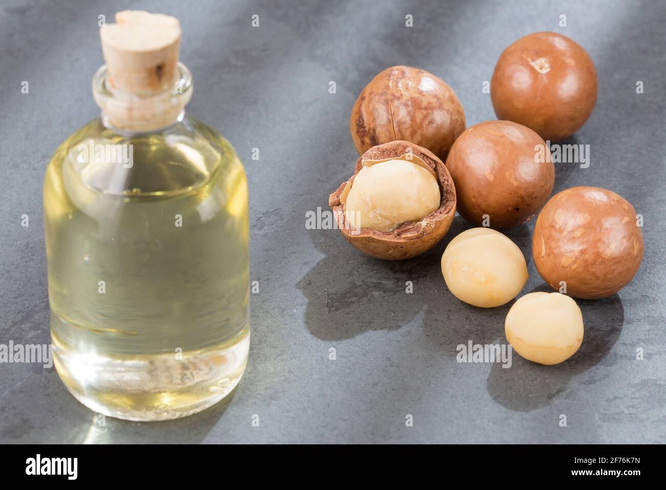 Macadamia nuts and oil - Macadamia integrifolia Stock Photo - Alamy