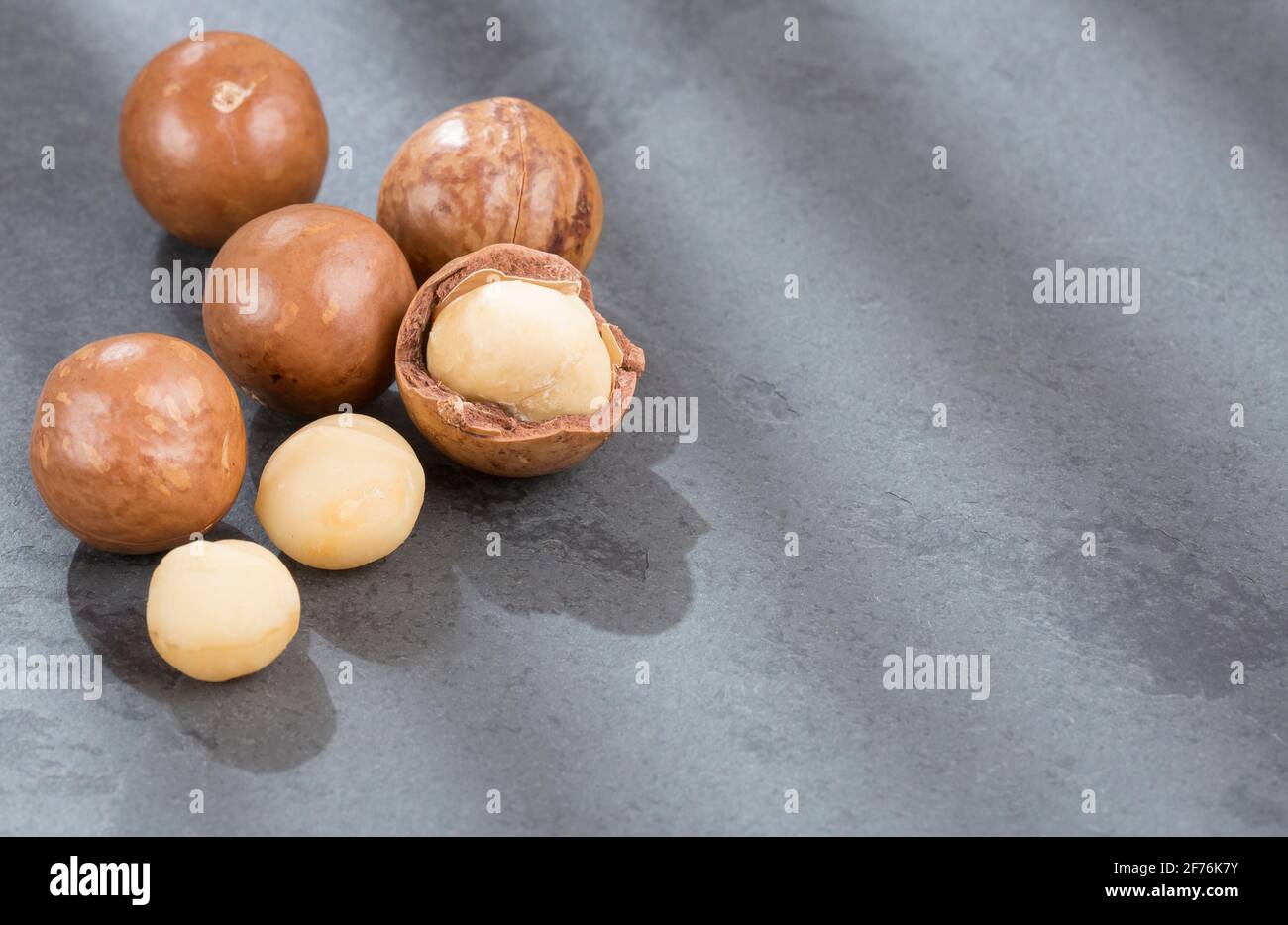 Macadamia nuts - Macadamia integrifolia Stock Photo - Alamy