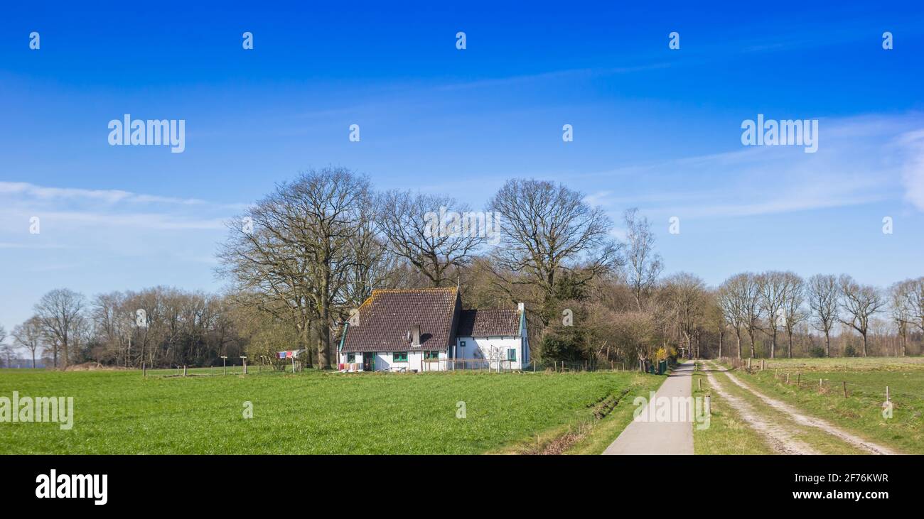 Panorama of a little white farm in nature area Drents-Friese Wold ...