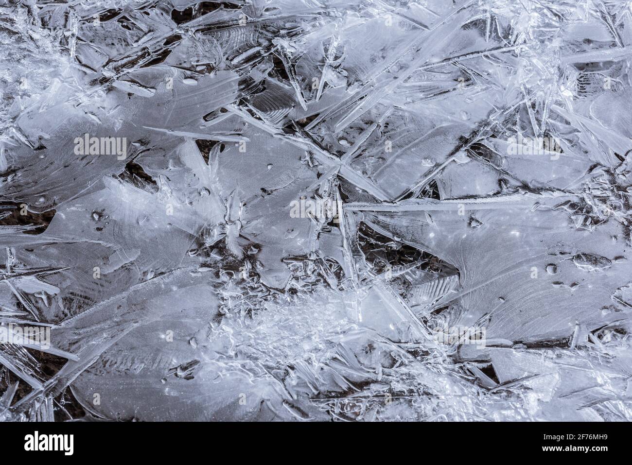 The texture of the thin ice on the water surface Stock Photo - Alamy