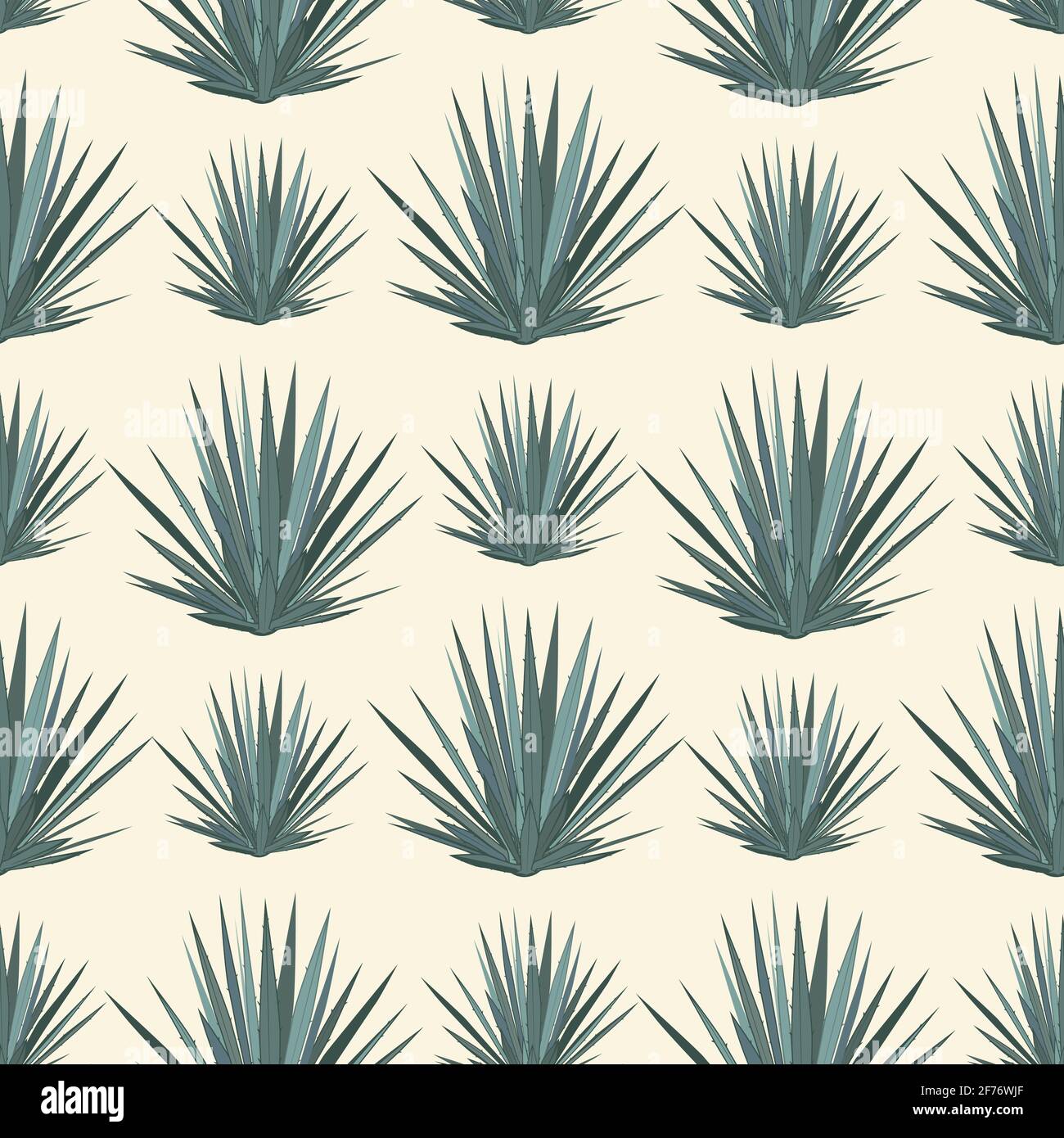 Tequilaplant hi-res stock photography and images - Alamy