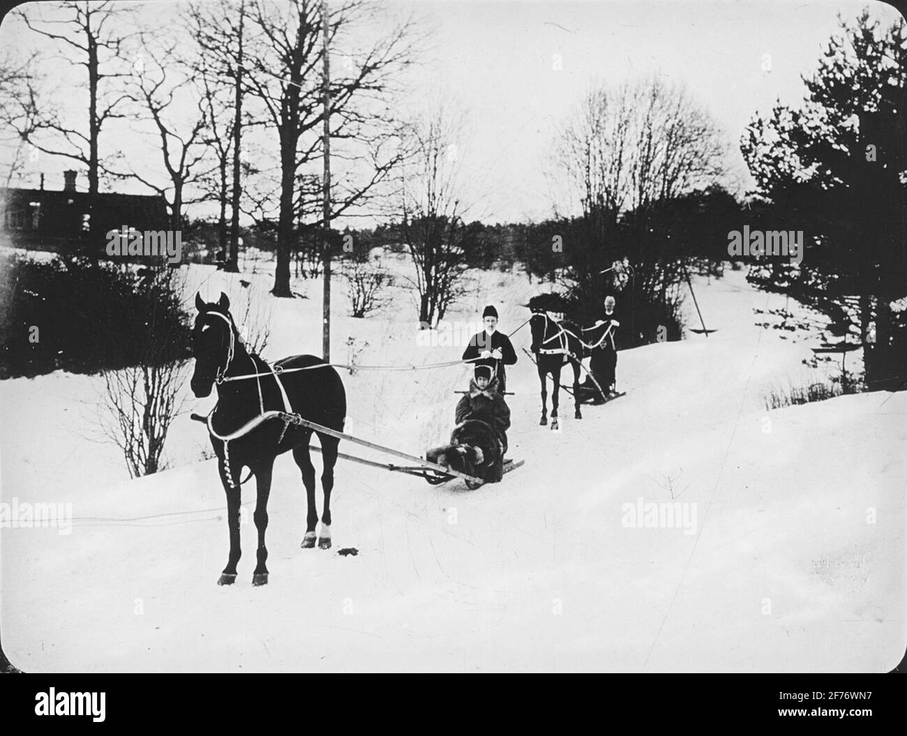 Projection picture. Winter sports. Slagging by horse Stock Photo - Alamy
