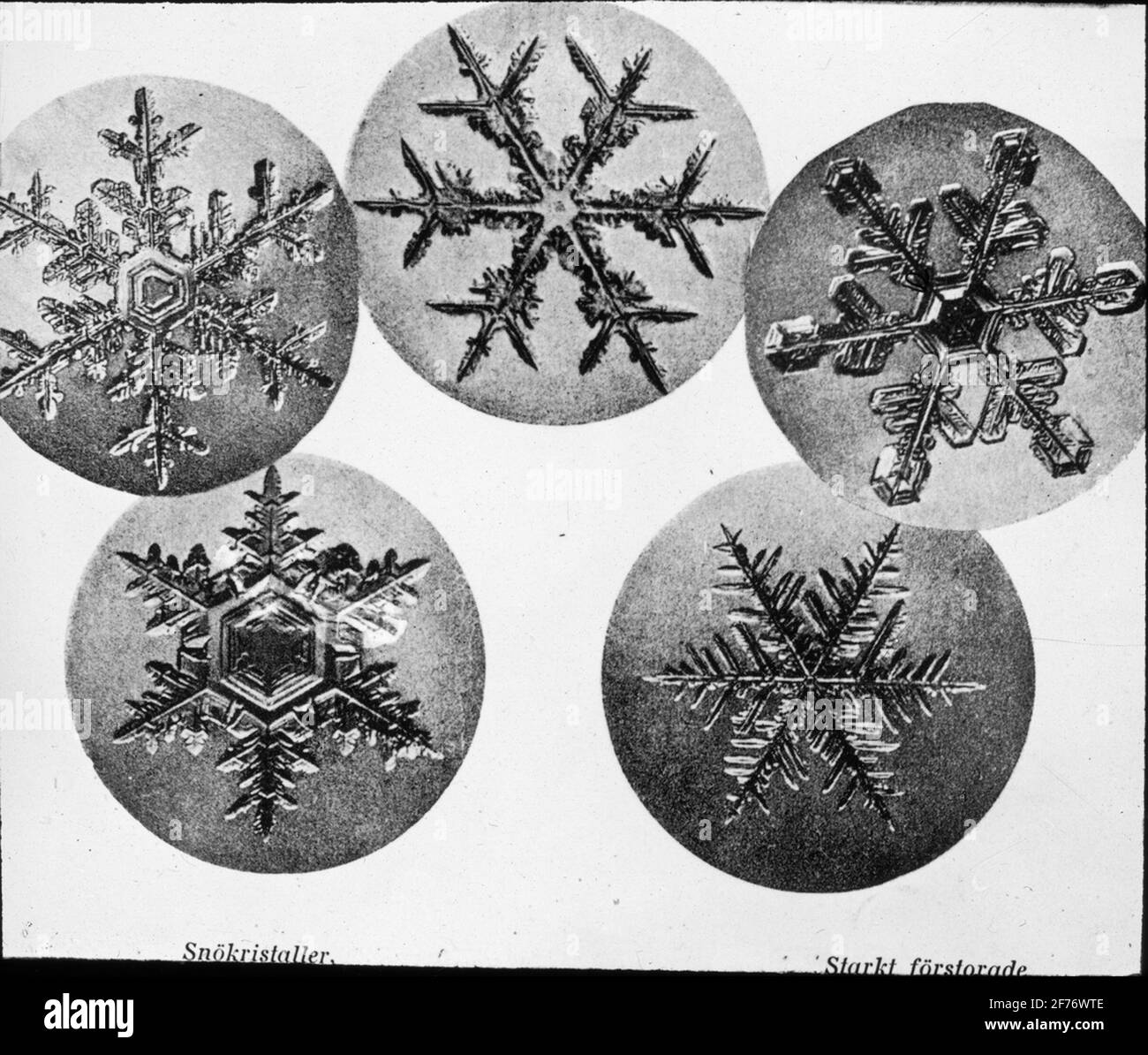 Different types of snow hi-res stock photography and images - Alamy