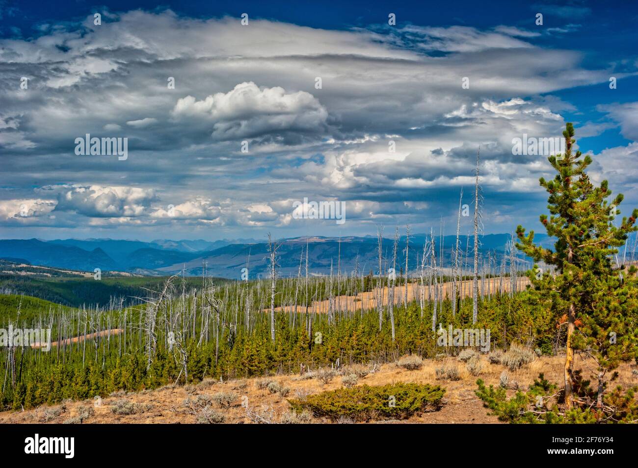 Roadside fire damage hi-res stock photography and images - Alamy
