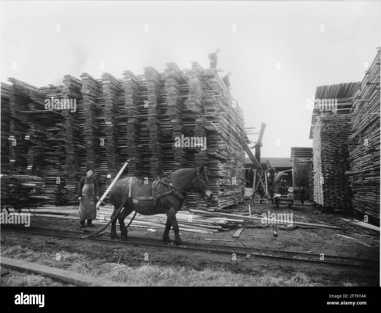 Company liability Black and White Stock Photos & Images - Alamy