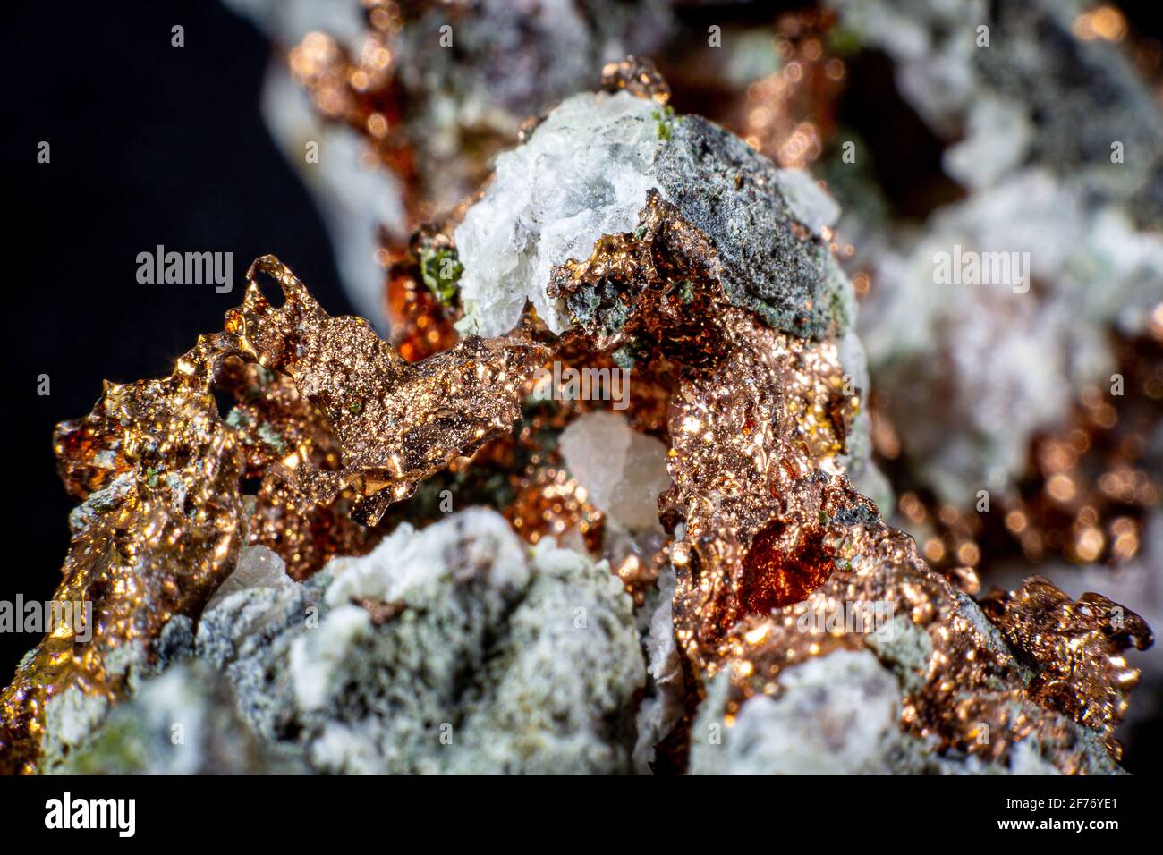 Brilliant and copper hi-res stock photography and images - Alamy