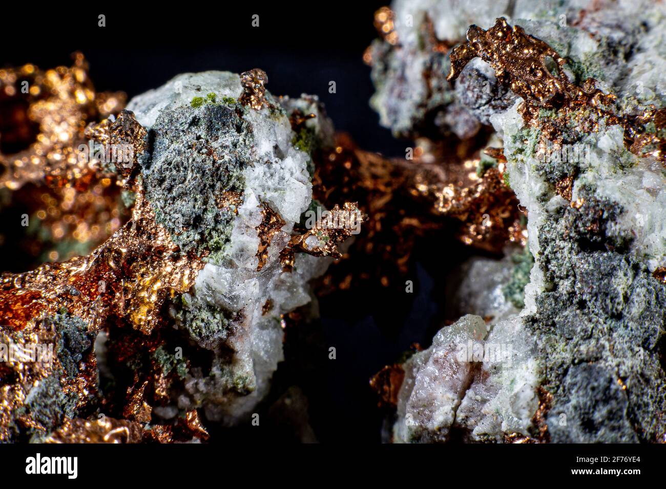 Brilliant and copper hi-res stock photography and images - Alamy