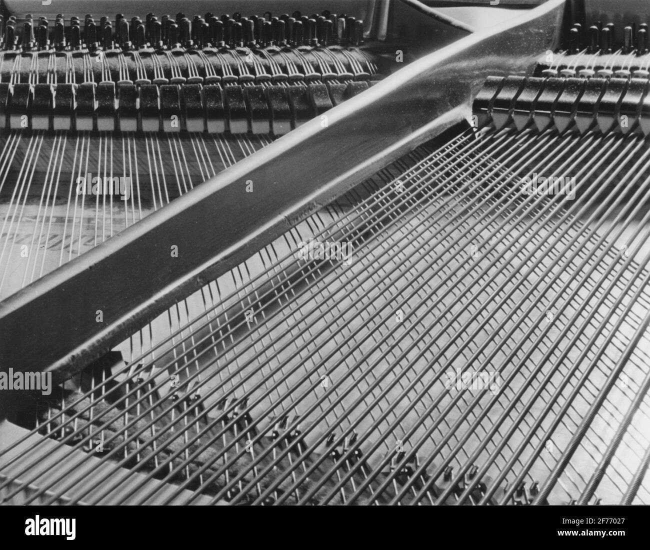 Part of the inside of a grand piano. With the picture, the photographer ...
