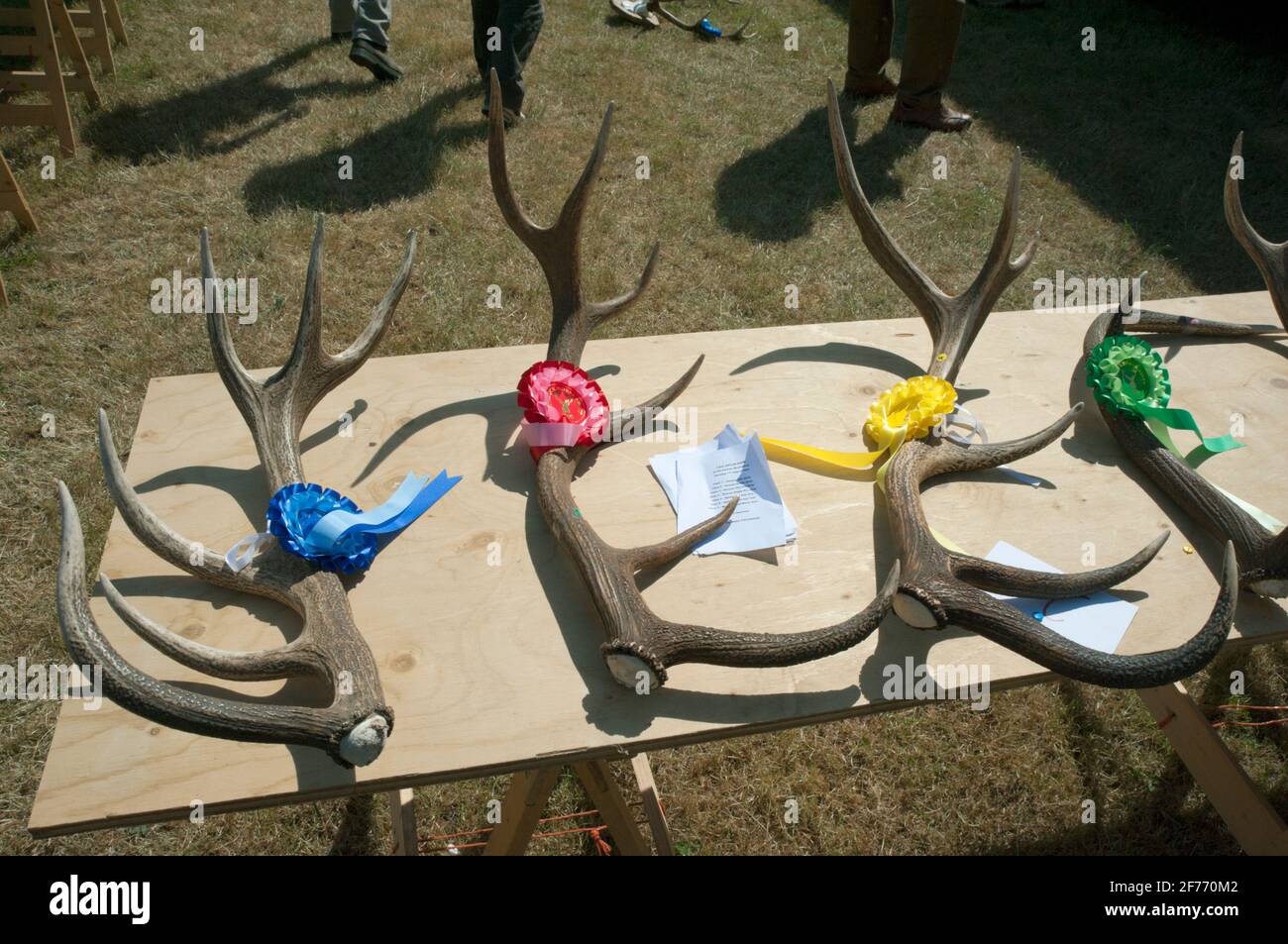 Porlock horse show hi-res stock photography and images - Alamy