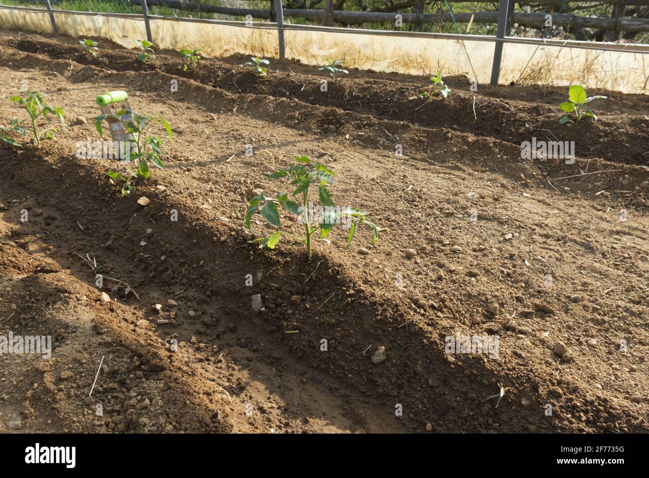 Hand hoeing hi-res stock photography and images - Alamy