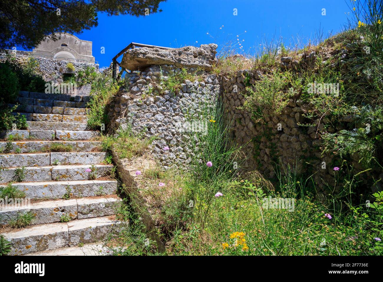 Emperor steps hi-res stock photography and images - Alamy