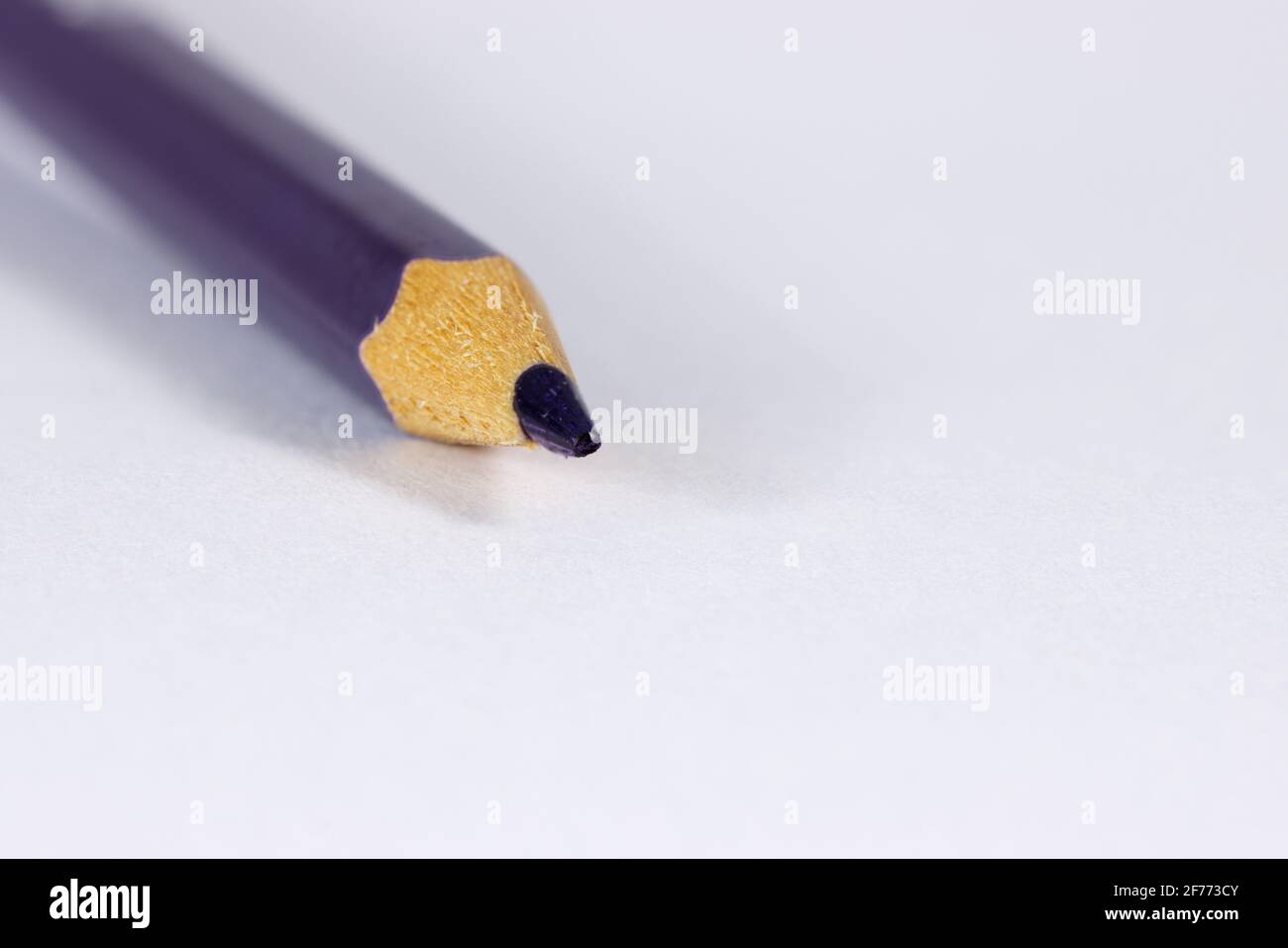 Violet sharpened pencil point to the left on a white background copy ...