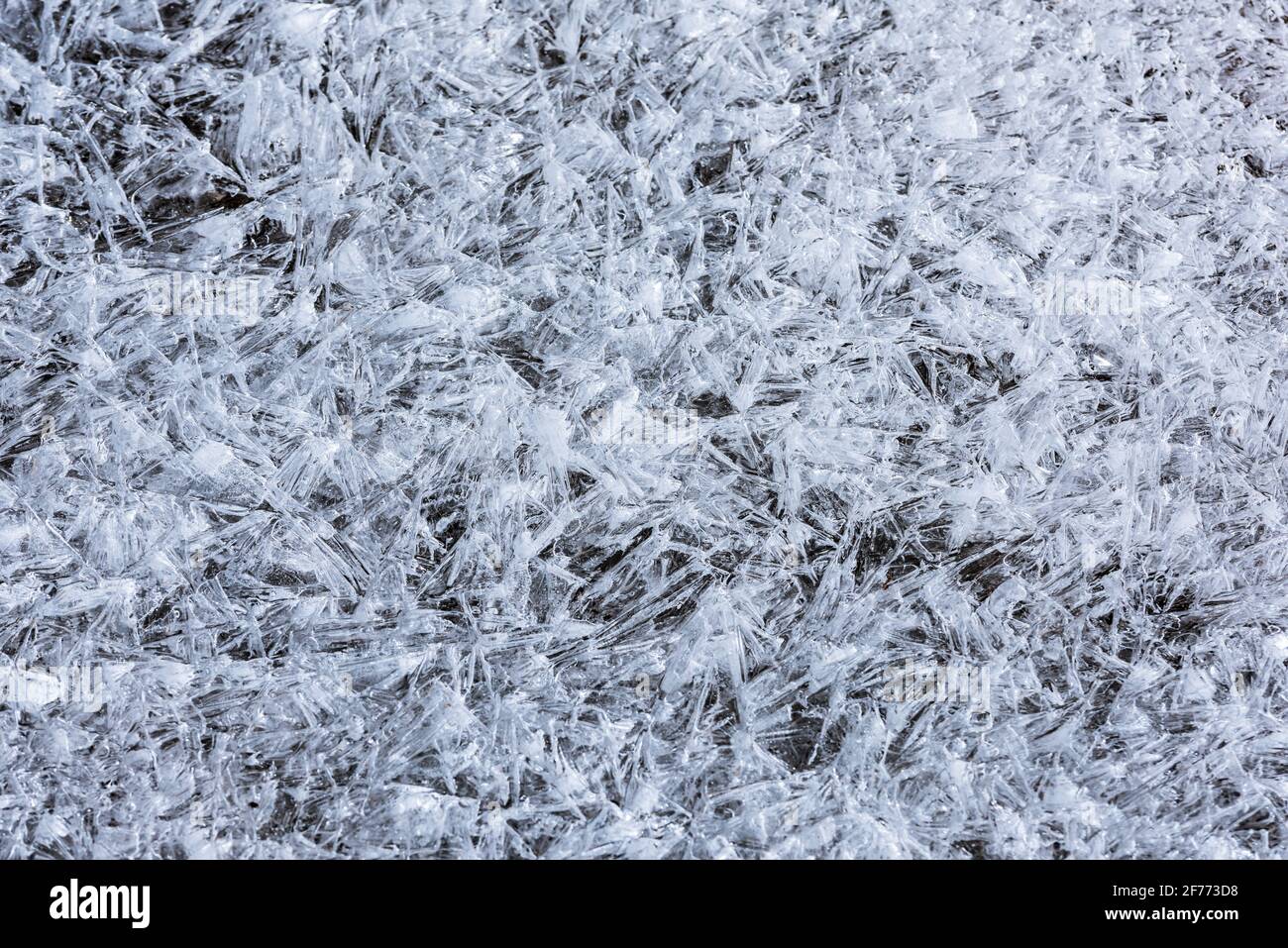 The texture of the thin ice on the water surface Stock Photo - Alamy