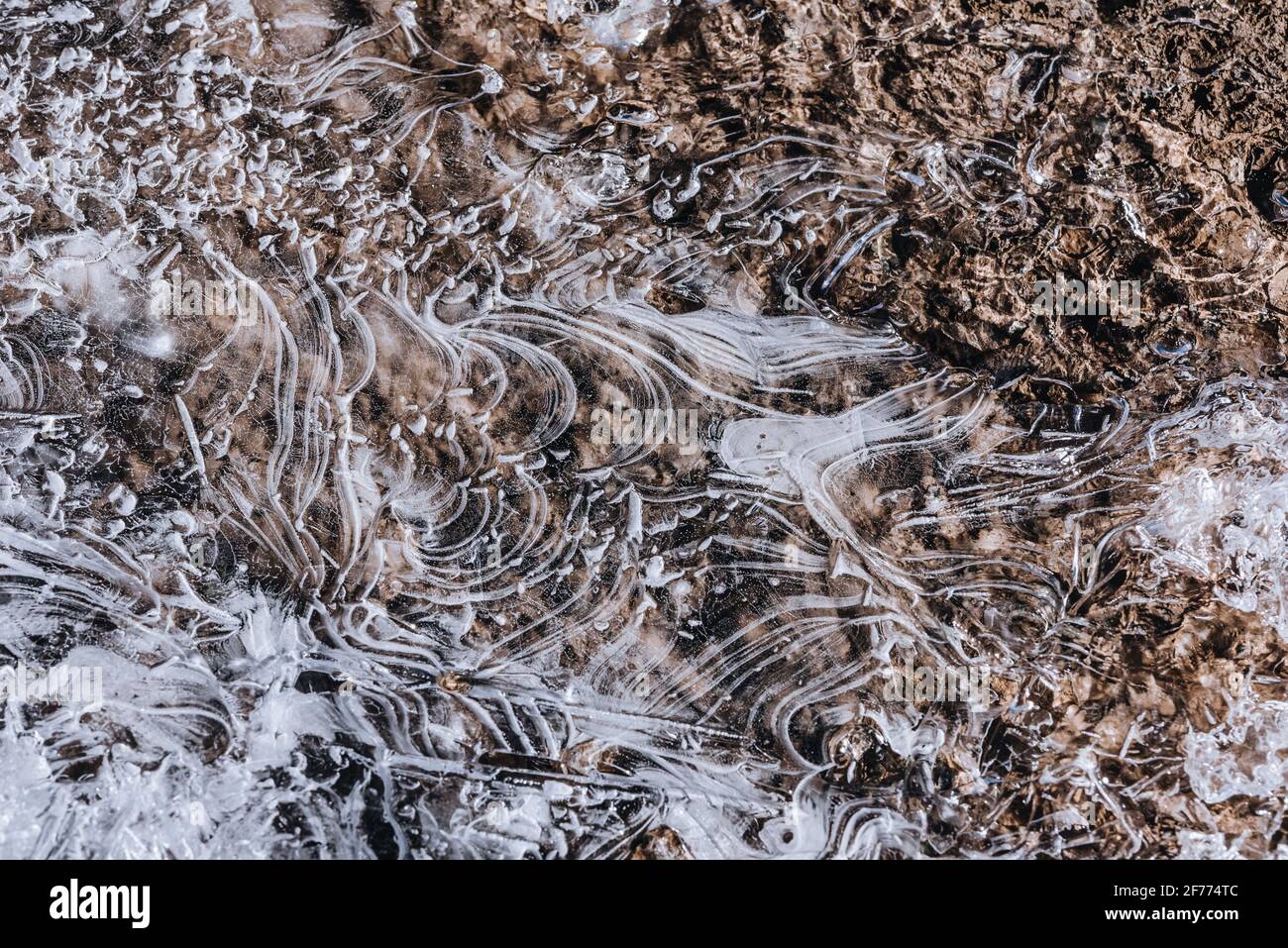 The texture of the thin ice on the water surface Stock Photo - Alamy