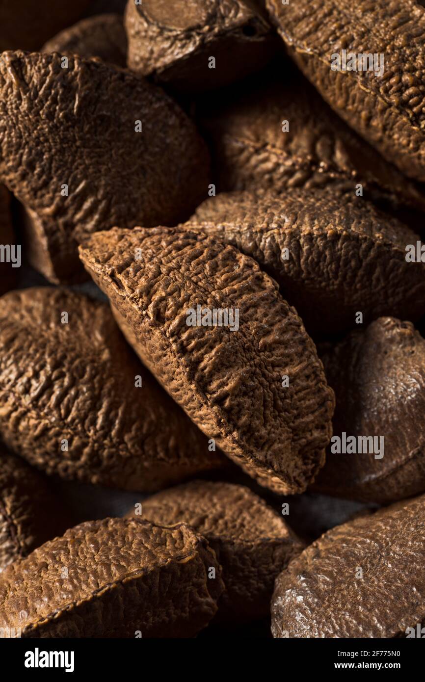 Raw Brown Organic Brazil Nuts in the Shell Stock Photo - Alamy