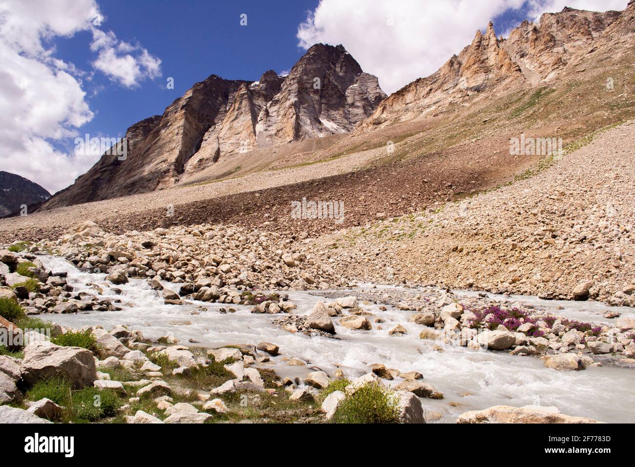 Zanskar, India. Alpine landscape Stock Photo - Alamy