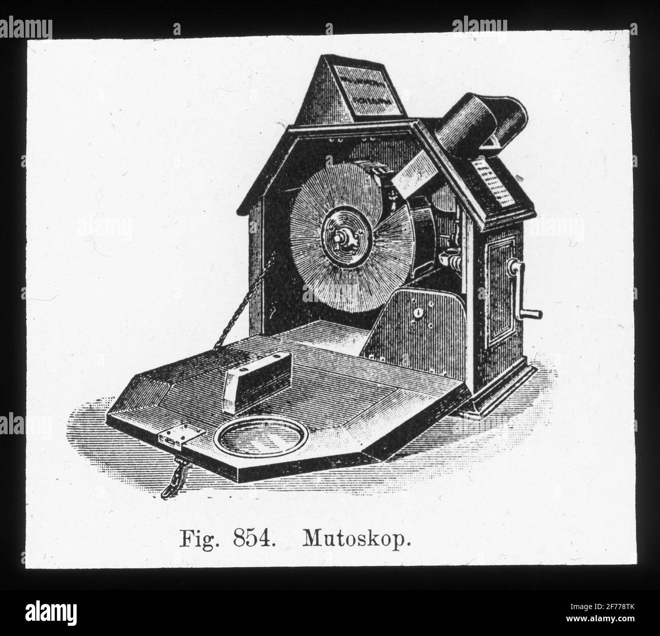 Mutoscope Reel
