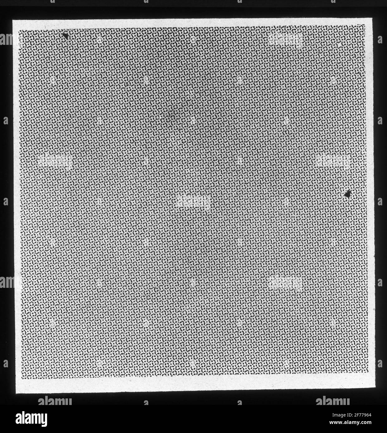Interference Pattern In Nature